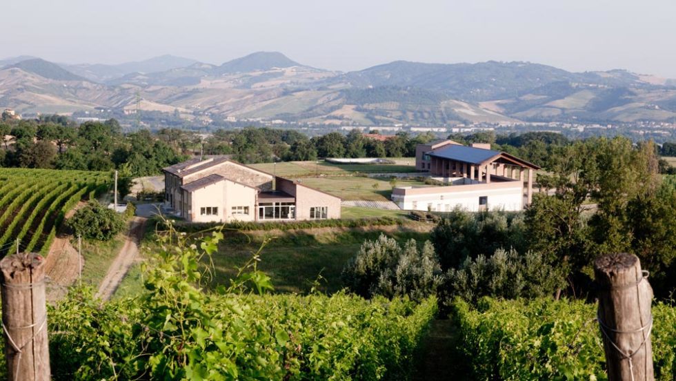 Contatti - Monte delle Vigne